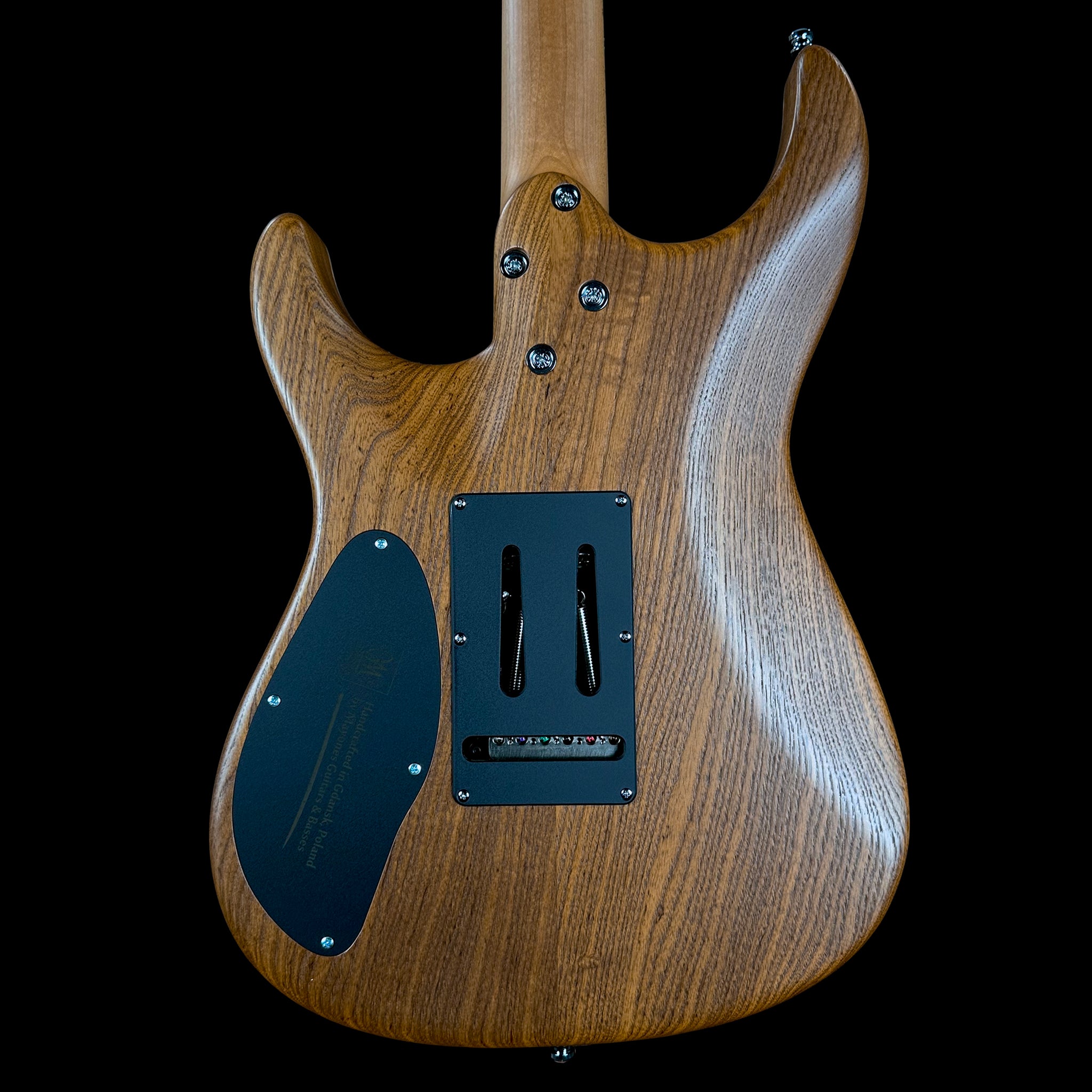 Mayones Aquila Elite S 6 | Monolith Black Gloss – The Vibrato Bar